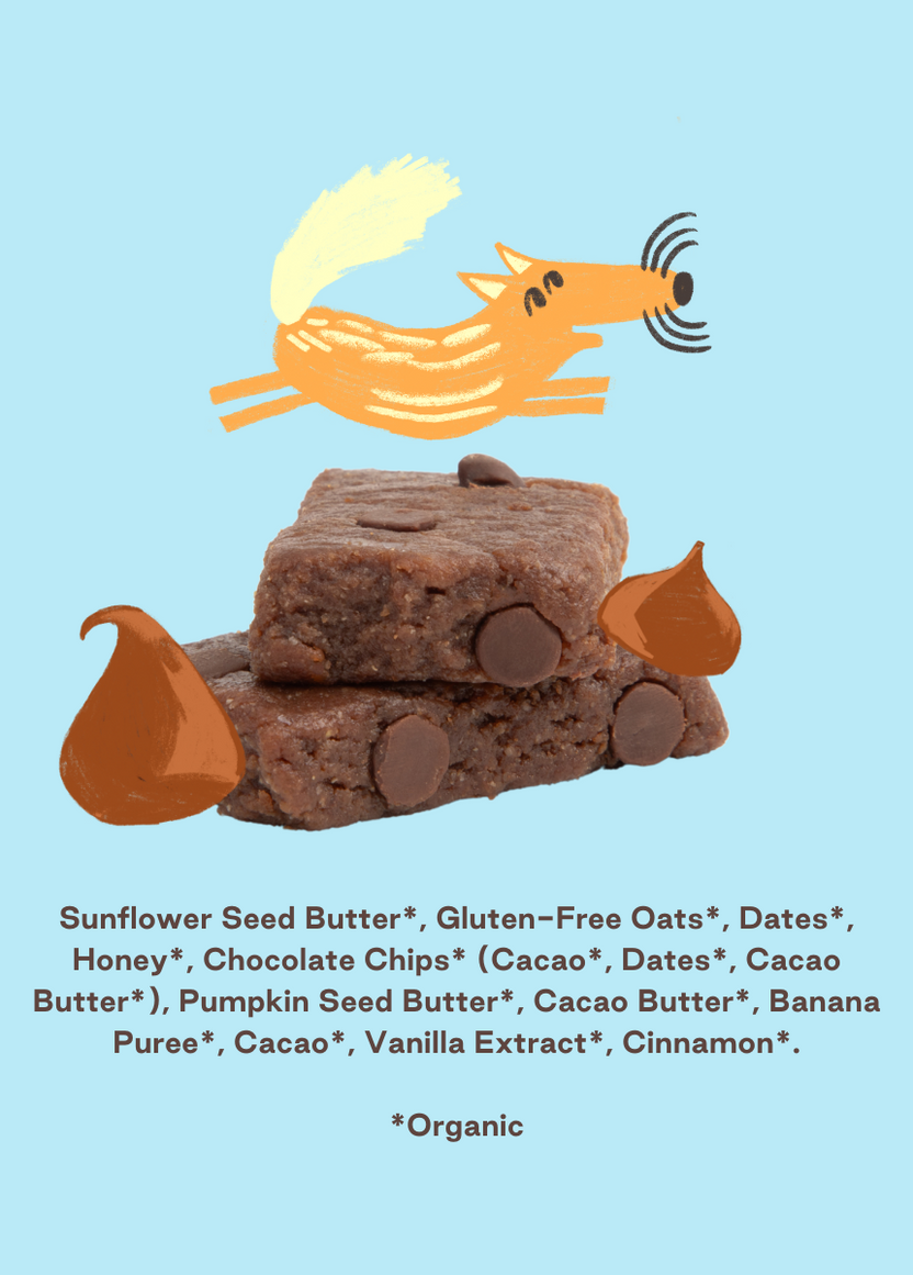 Nutritious Fridge-Fresh Snack Bars for Kids | Happy Wolf