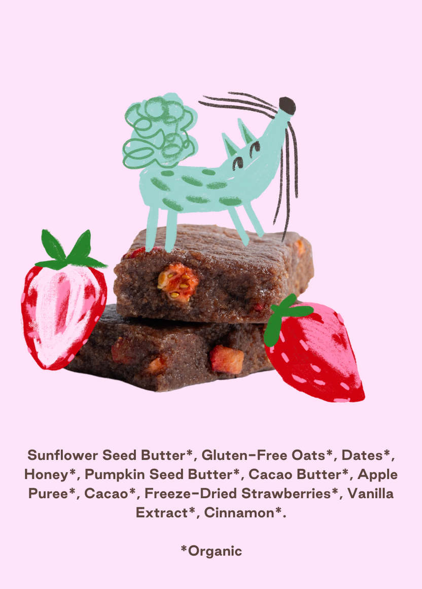 Nutritious Fridge-Fresh Snack Bars for Kids | Happy Wolf