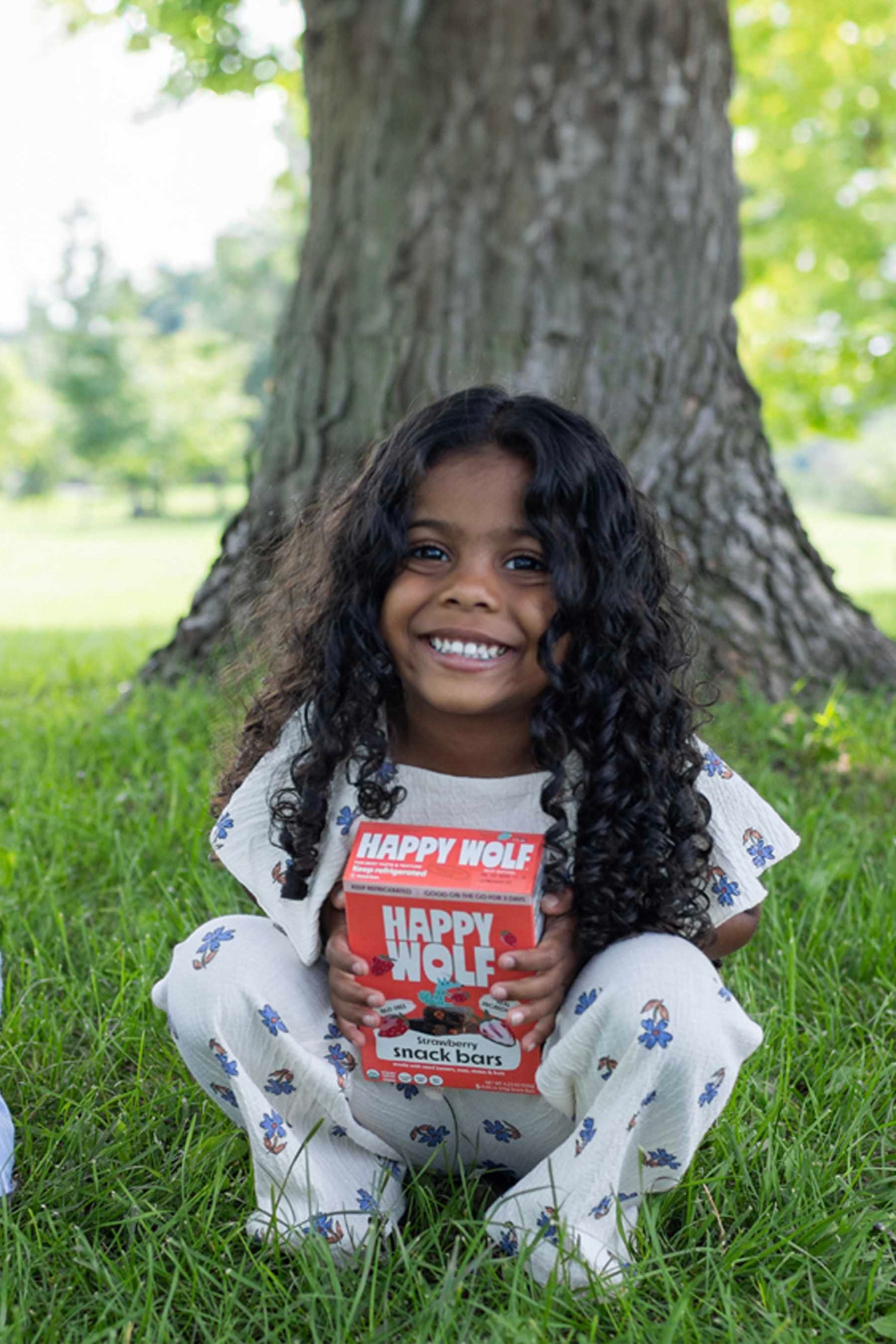 Nutritious Fridge-Fresh Snack Bars for Kids | Happy Wolf