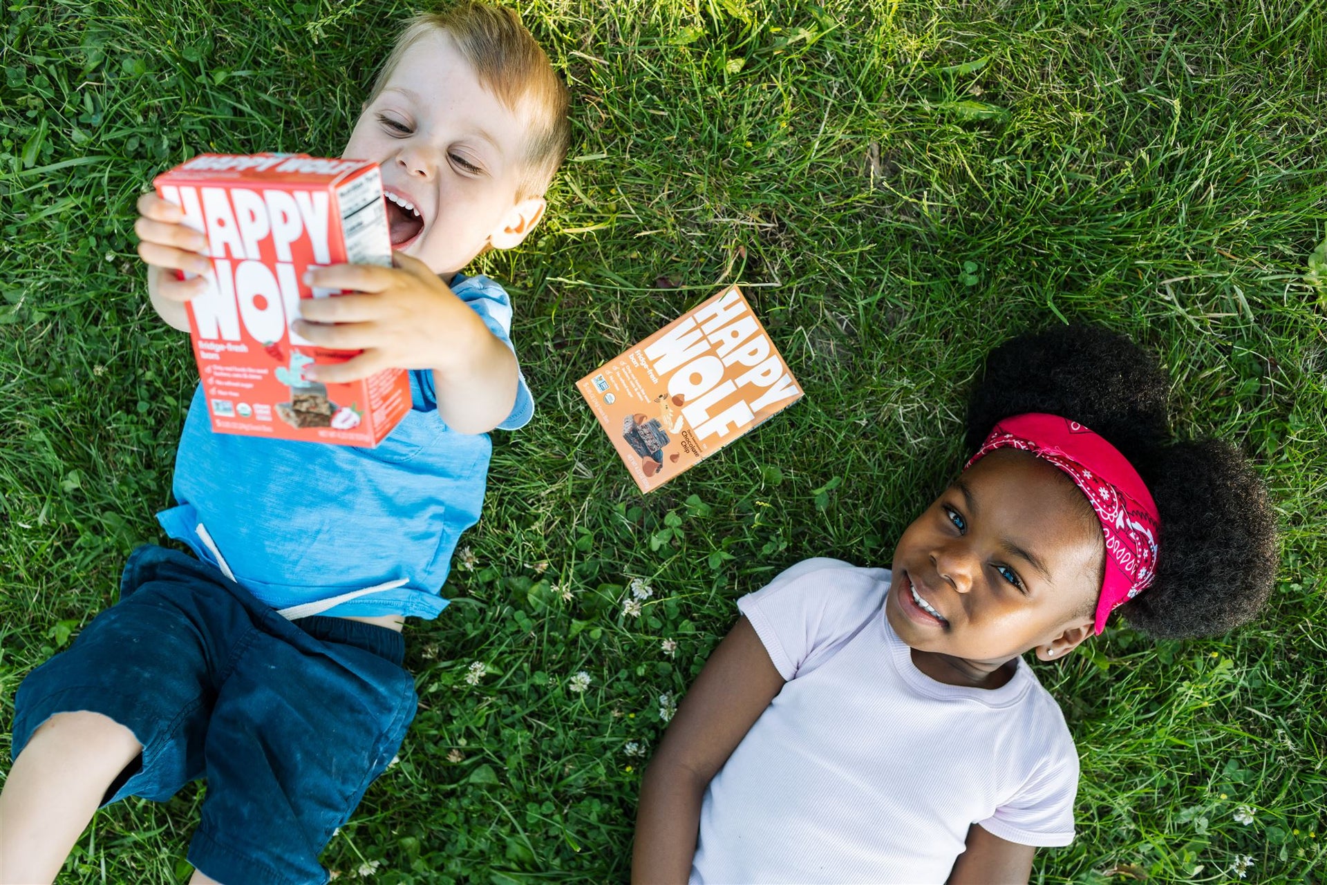 Nutritious Fridge-Fresh Snack Bars for Kids | Happy Wolf