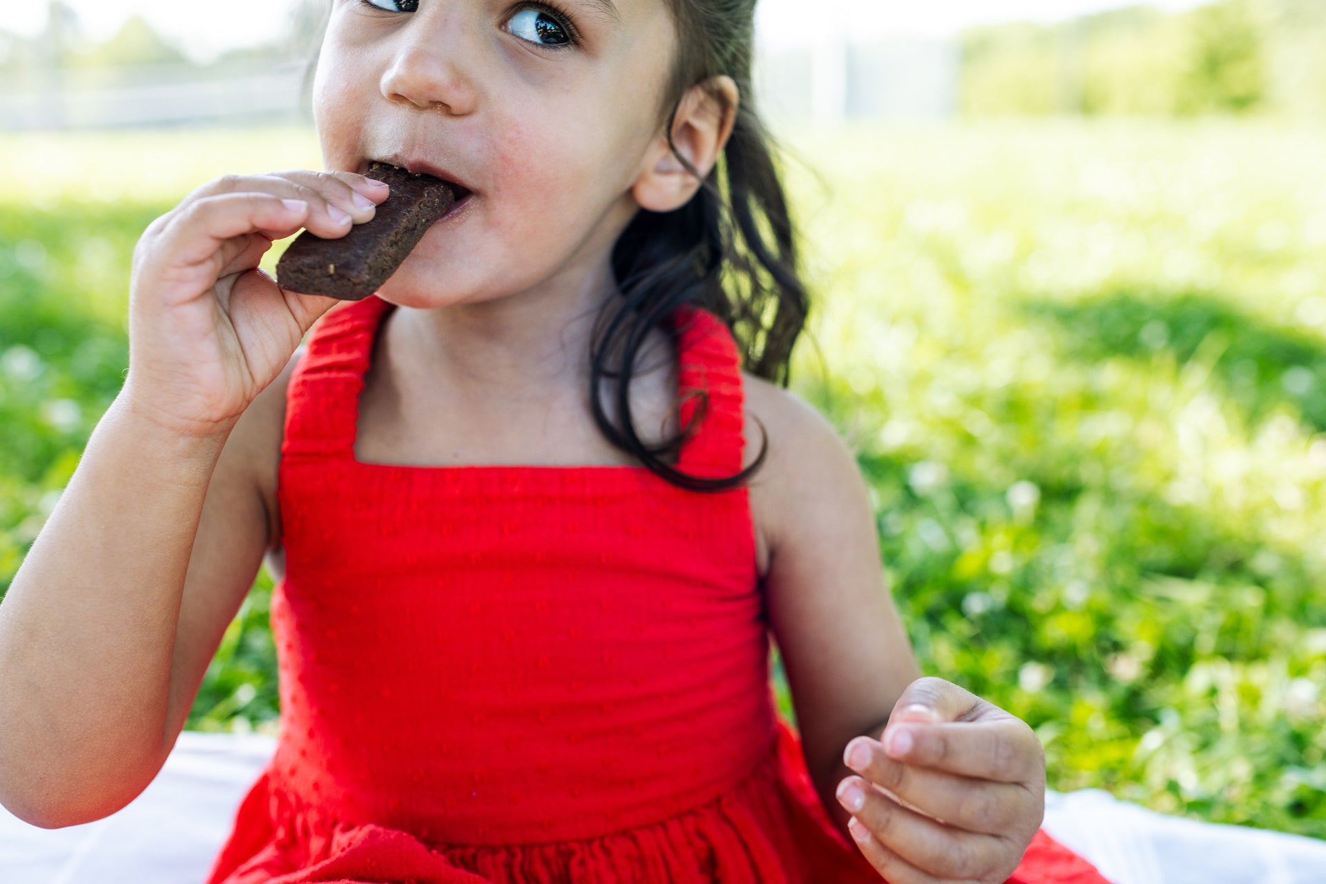 Nutritious Fridge-Fresh Snack Bars for Kids | Happy Wolf